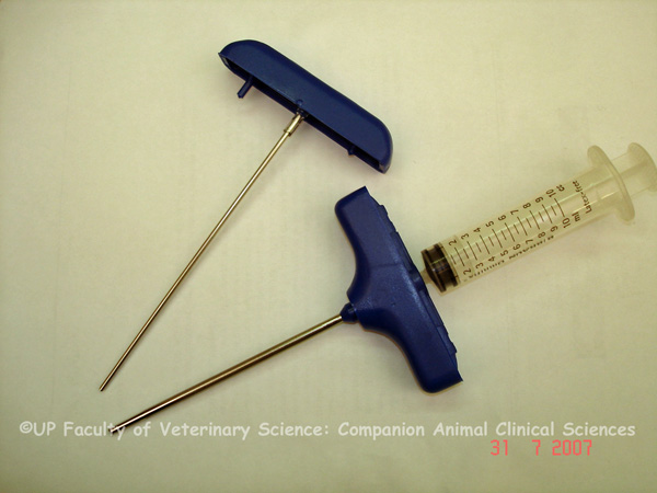 Lecture Notes in Medical Technology: Lecture # 15: Bone Marrow Examination