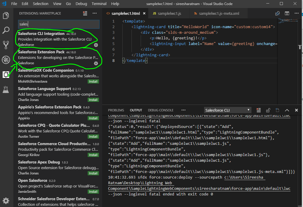 Lightning Web Component(LWC) Setup and Example Component