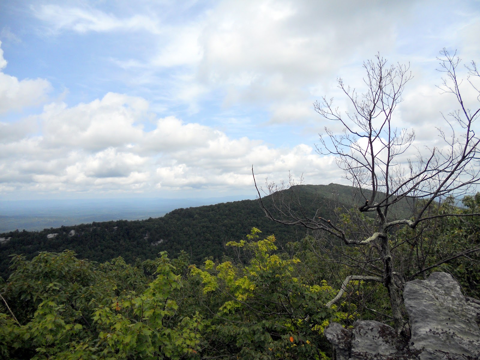 Hiking with a Fat Bald White Guy: Hanging Rock - Cooks Wall To Hanging Rock