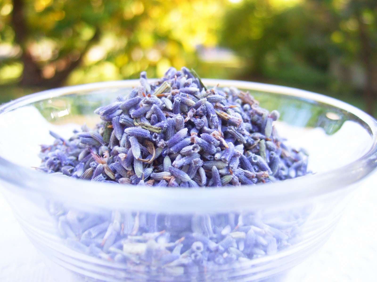 Vaikai ir Vanilė: Levandų ledai su medumi