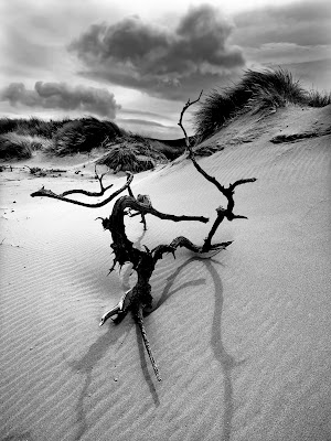 School Of Digital Photography: DSLR’s and Composition