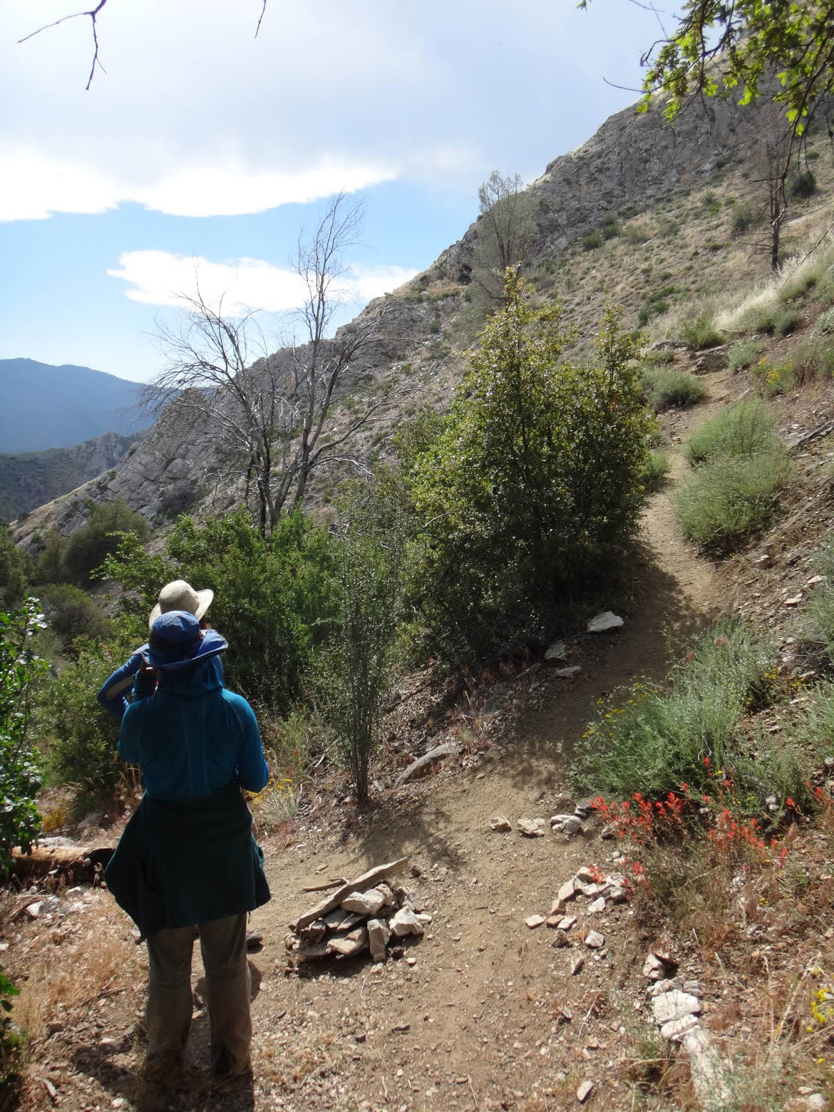 Packsaddle Cave North of Kernville - First Church of The Masochist