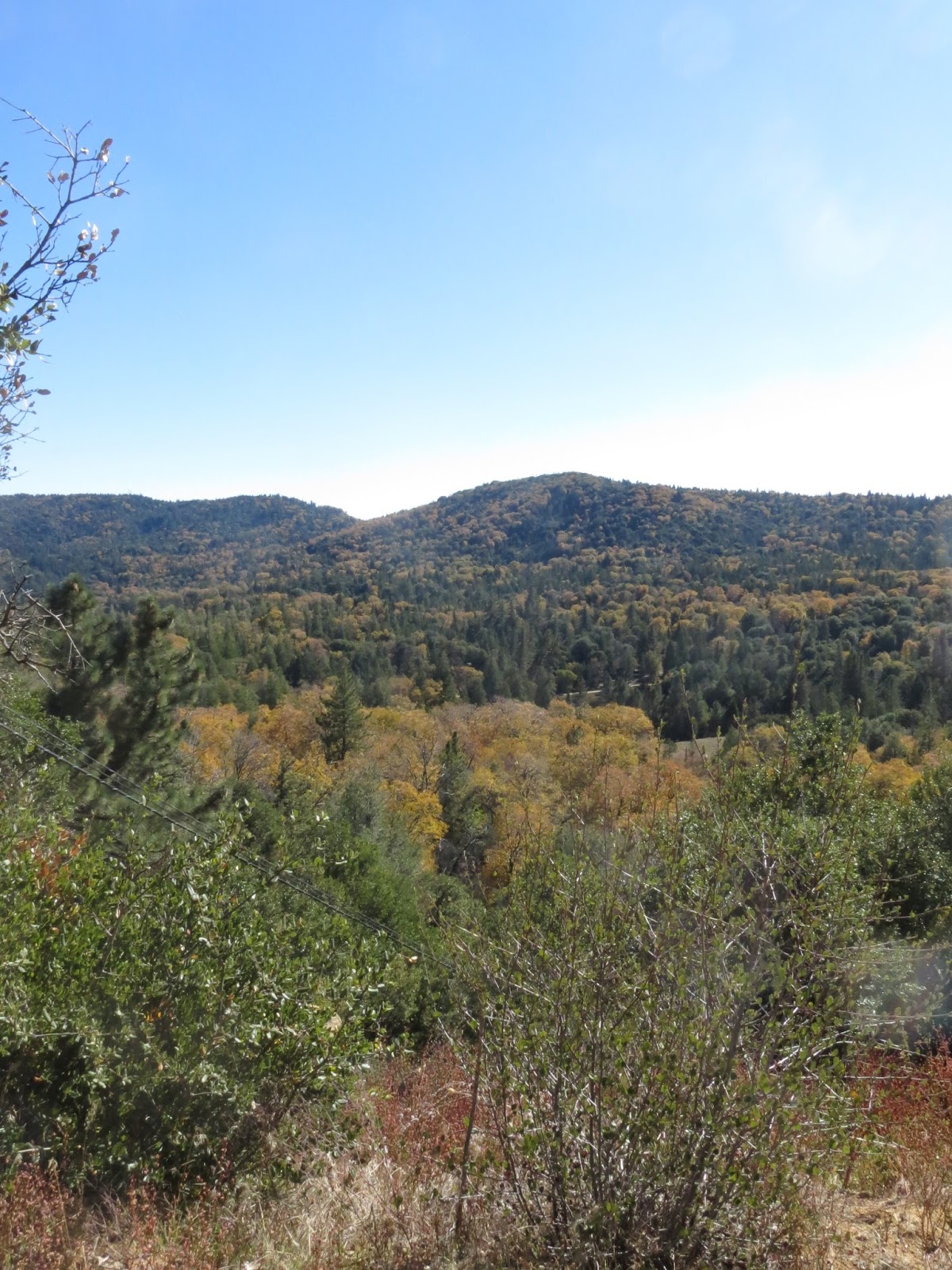Palomar Mountain State Park, CA - November 2015