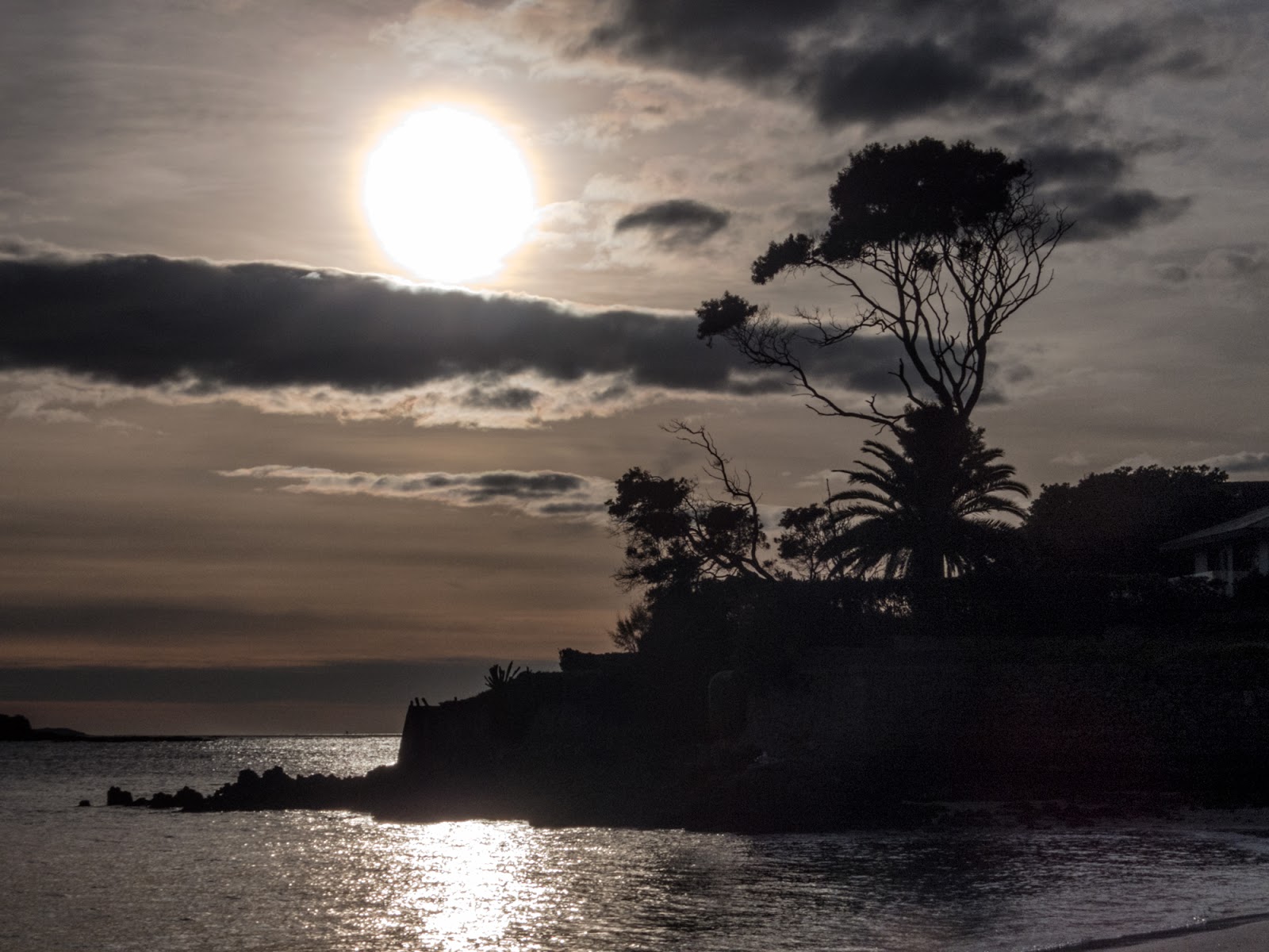 Vento nas velas: 2014