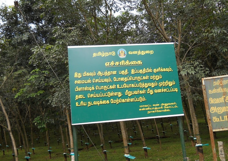 Tamilnadu Tourism: Kalikesam Forest & Waterfalls, Kanyakumari