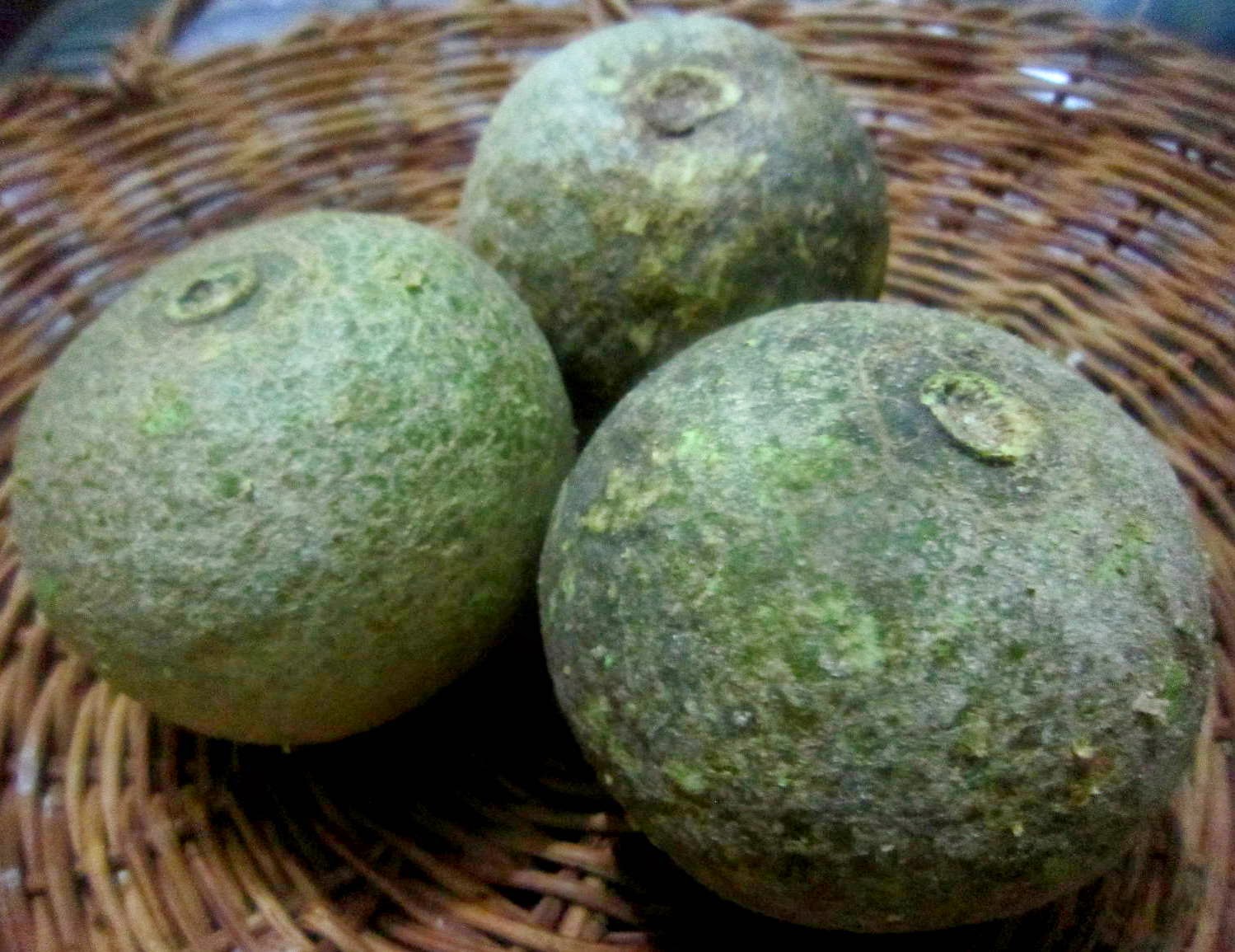 Archies Authentic Touch: Belada Hannu Panaka/Bel Fruit Juice/wood Apple ...