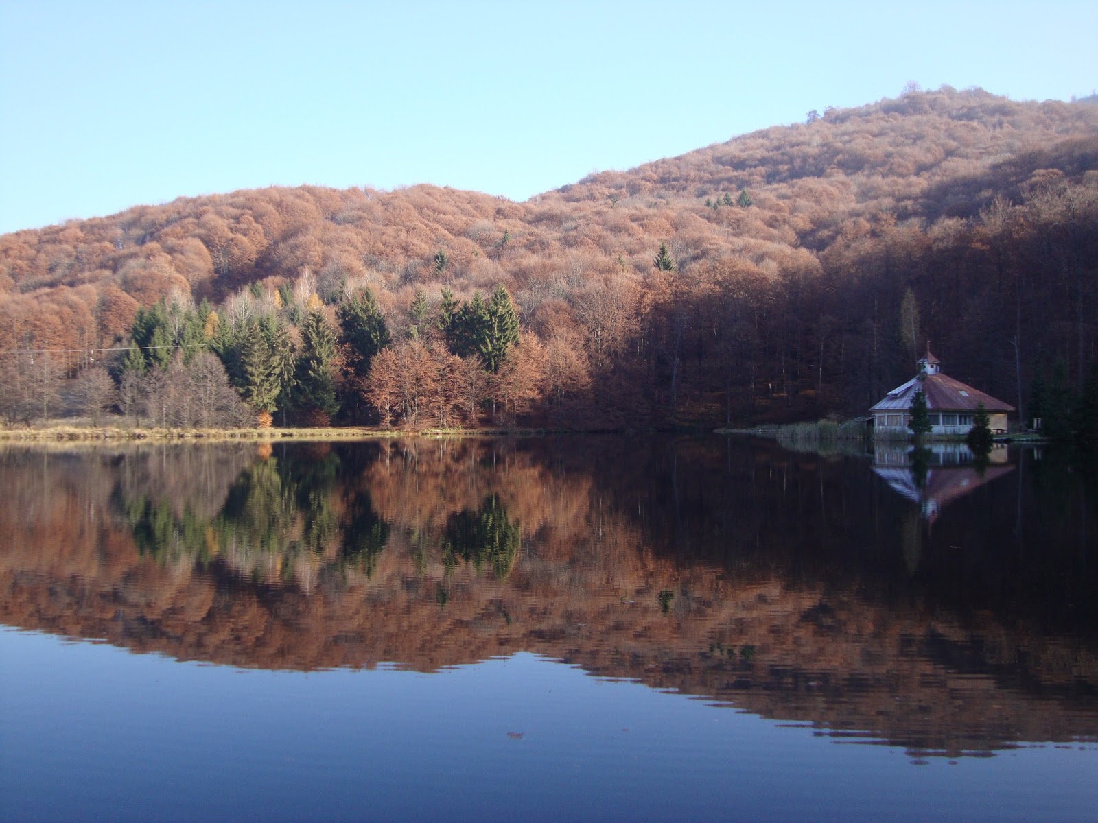TUDOR PHOTO BLOG: Maramures,Romania - Lacul Mogosa,Mogosa Lake