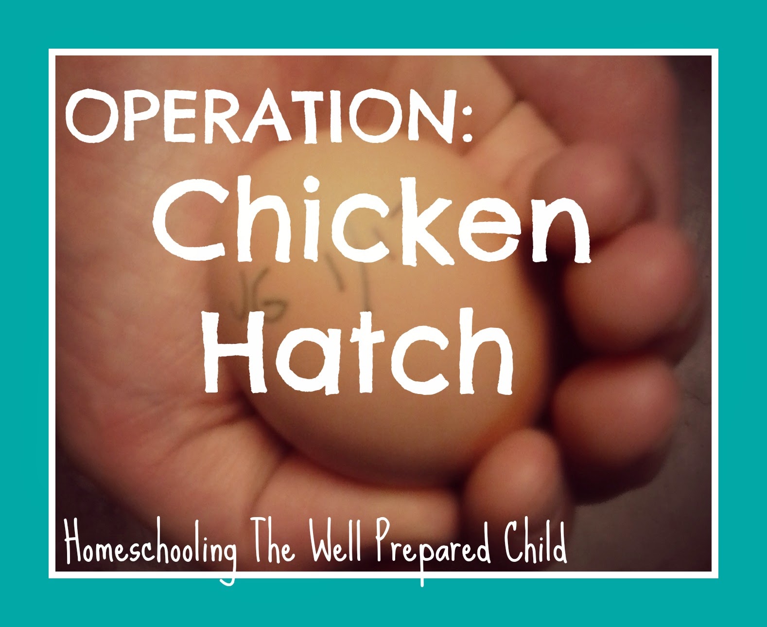 This post contains Affiliate Links