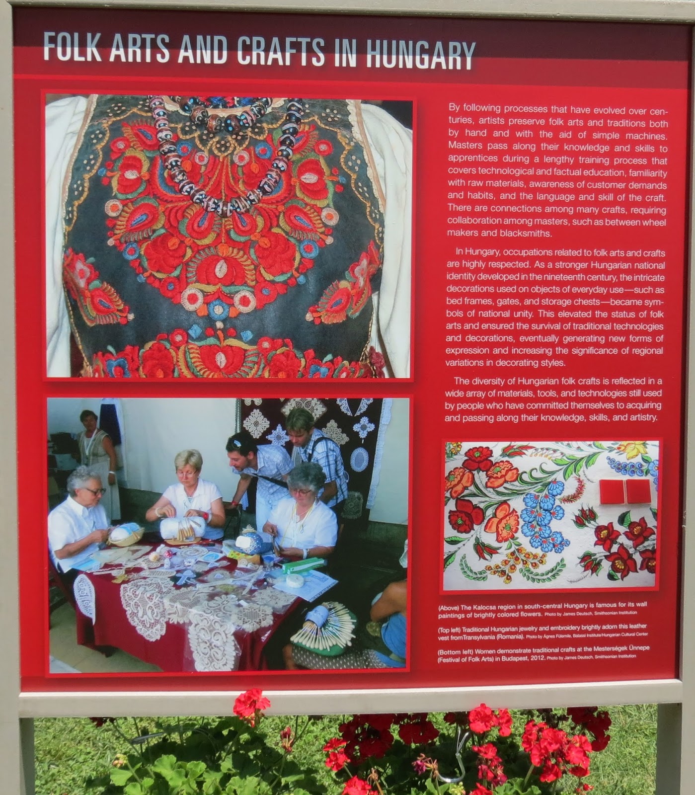 Morning Musings: Hungarian Heritage