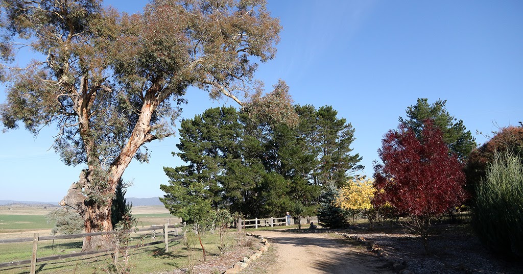 Steve and Jodies Travel Diary: Berridale Trip - Day 5