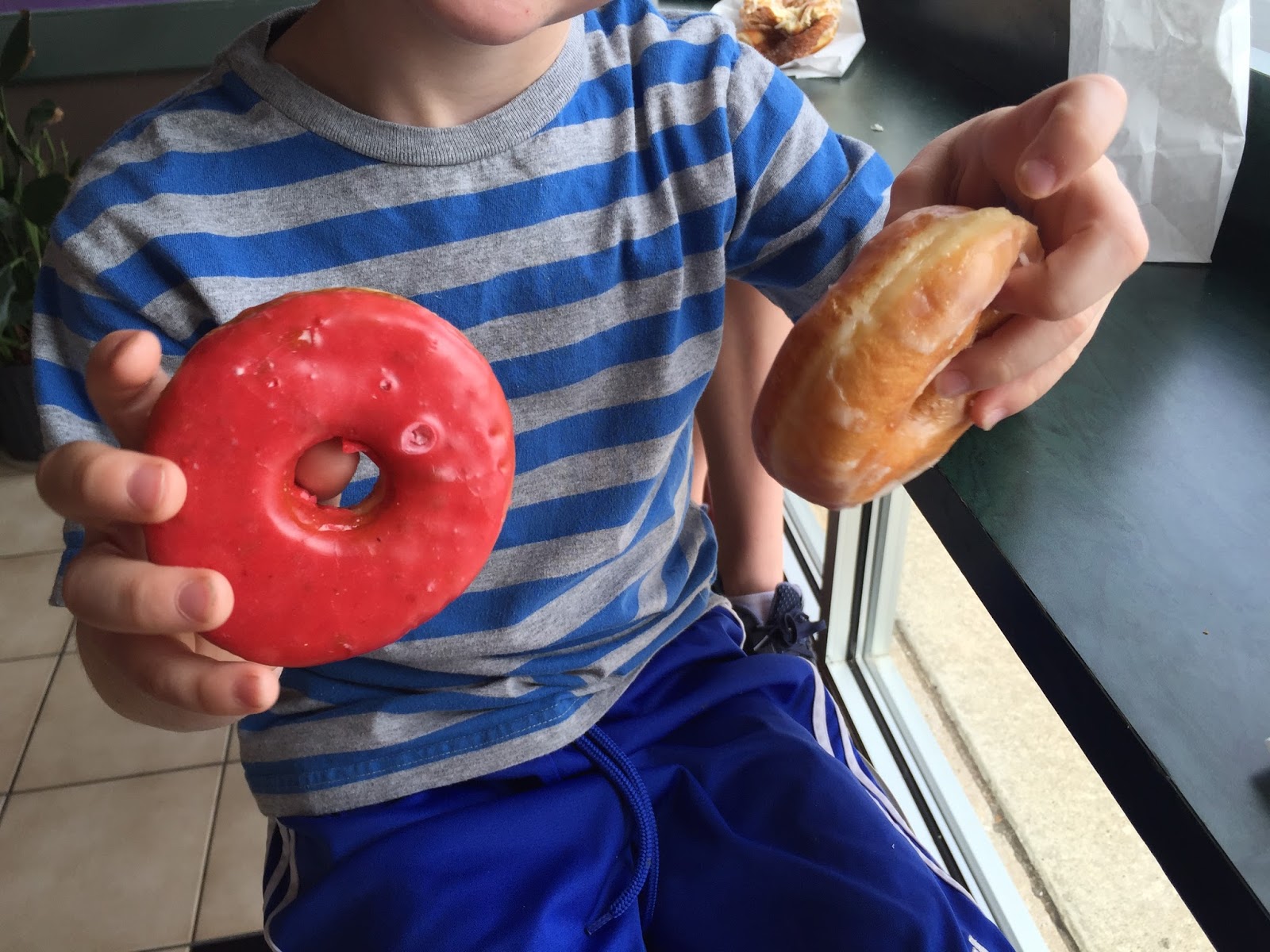The Great Chicagoland Donut Hunt: Fresh Donuts - Geneva, IL