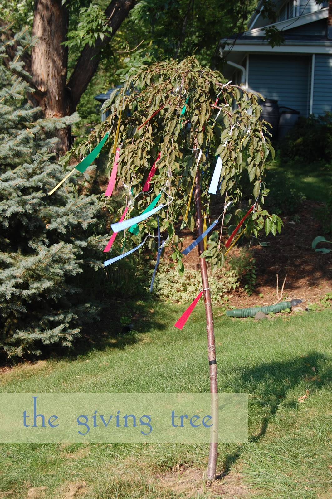 Elliot's Giving Tree: The Giving Tree {Year Two}