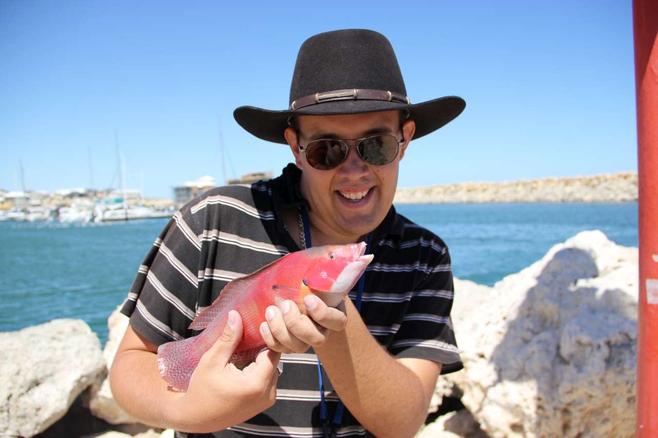 Oz-The-Trip: Joli poisson