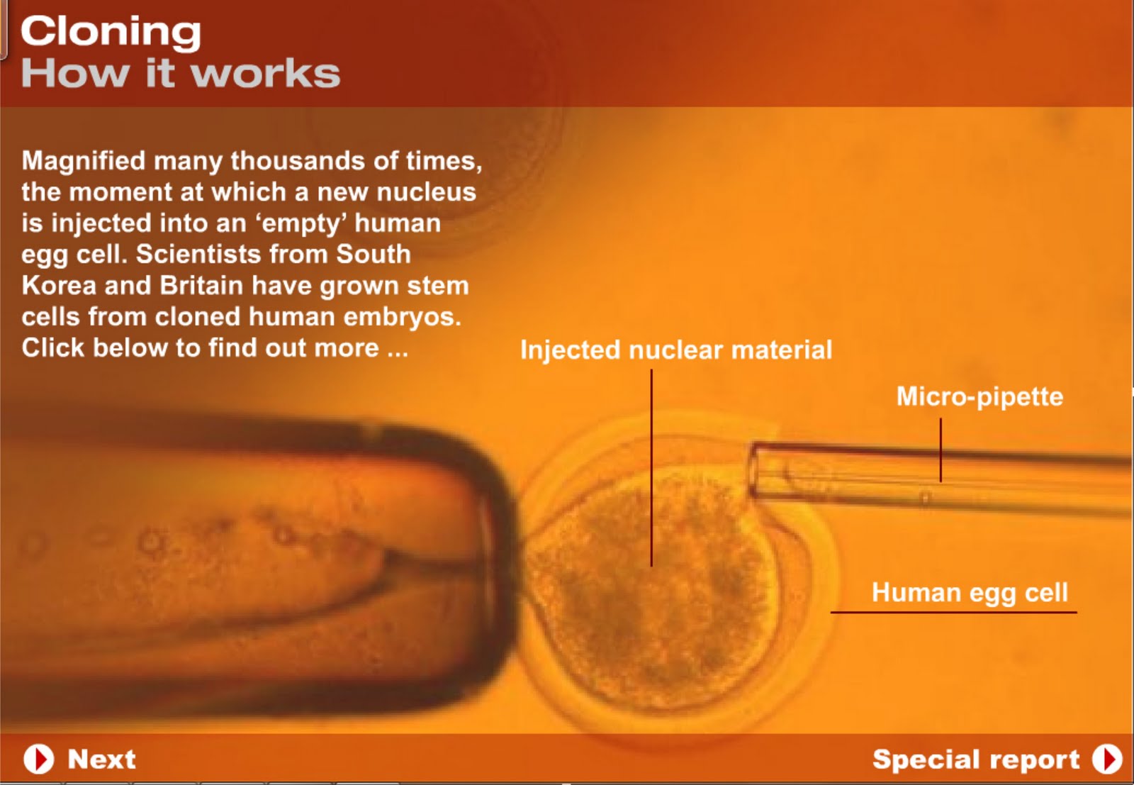 Animasi Pembuatan Kloning | BIOLOGIPEDIA