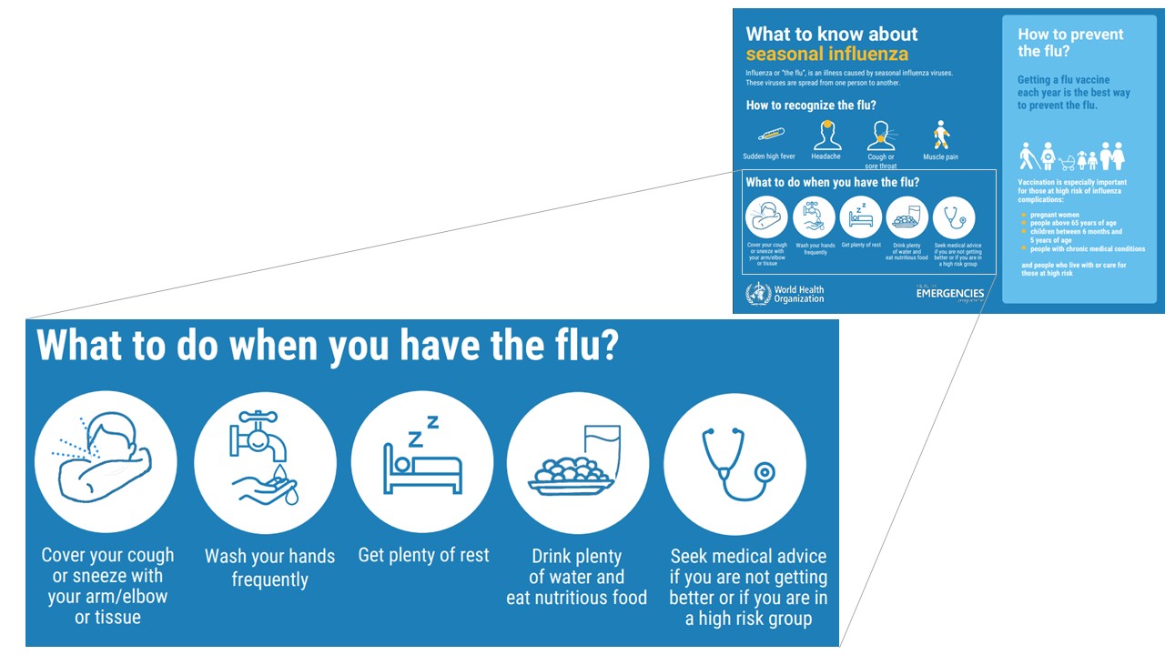 Flu and Hand Hygiene