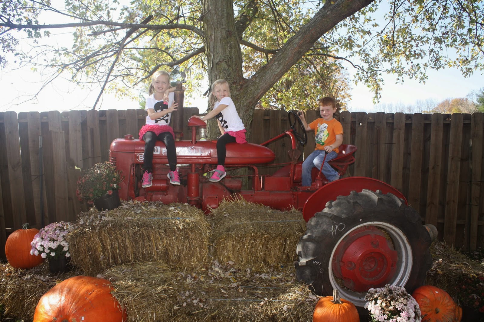 The McCulloch Family: Crazy Family Fun...