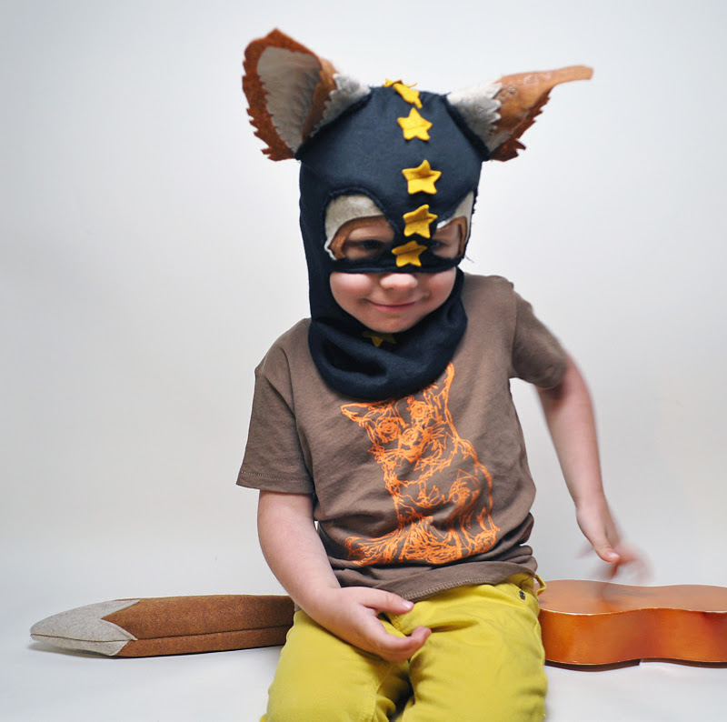 Fantastic Mr Fox Ash Costume