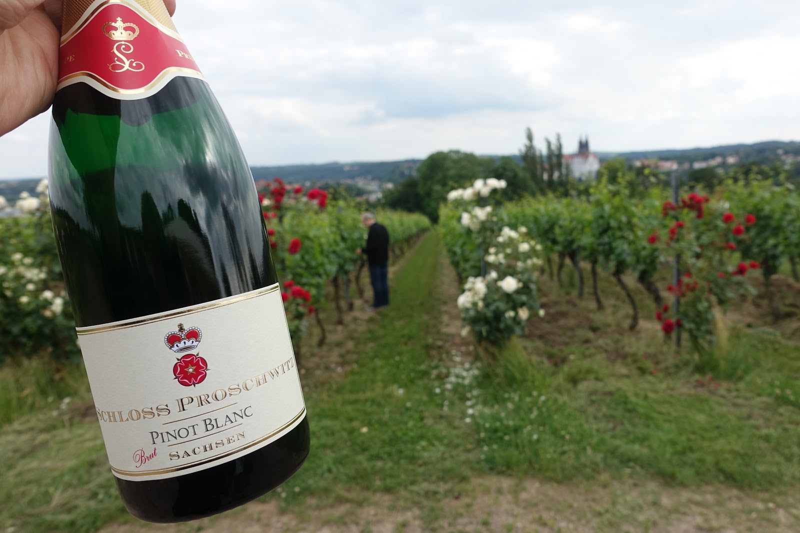 schiller-wine: Tour and Dinner at Weingut Schloss Proschwitz - Prinz ...