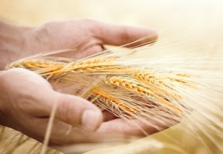 Cita Divina: PRIMICIAS