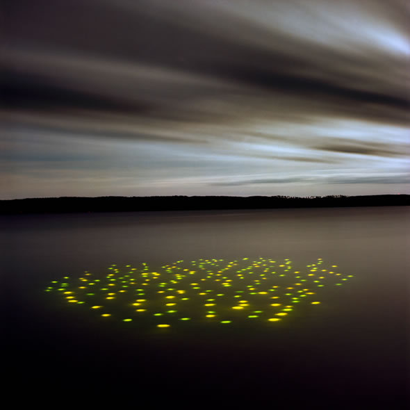 TomcatWallpapers: Beautiful Animated Landscapes