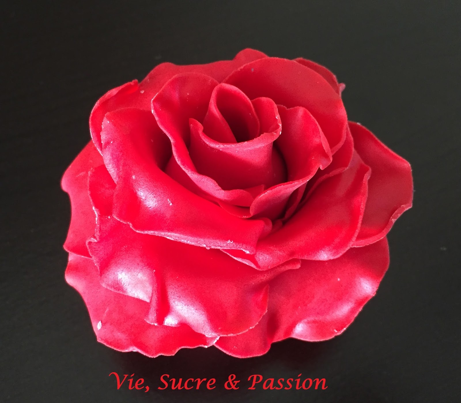 Vie, Sucre & Passion