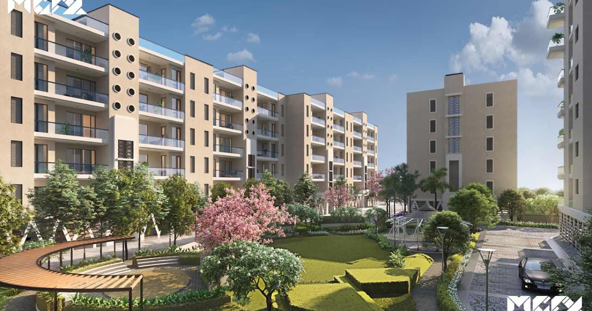 Why Hazelwood is a best buy