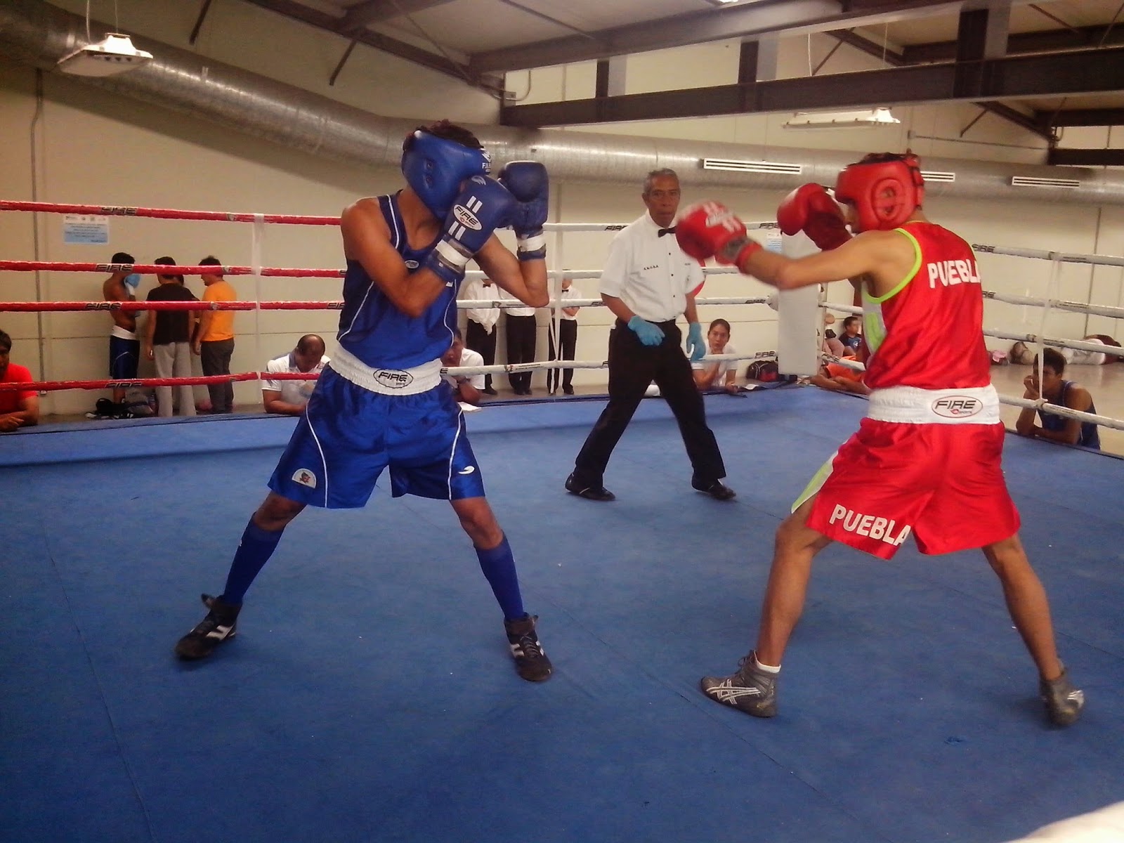 DeporPuebla: BOXEADORES POBLANOS INTENSIFICAN PREPARACIÓN