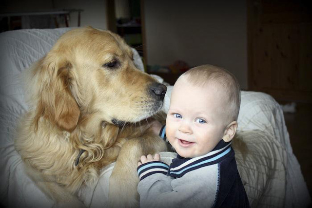 Mamá en Rodaje: Vamos a tener un bebé, como se lo explicamos al perro??