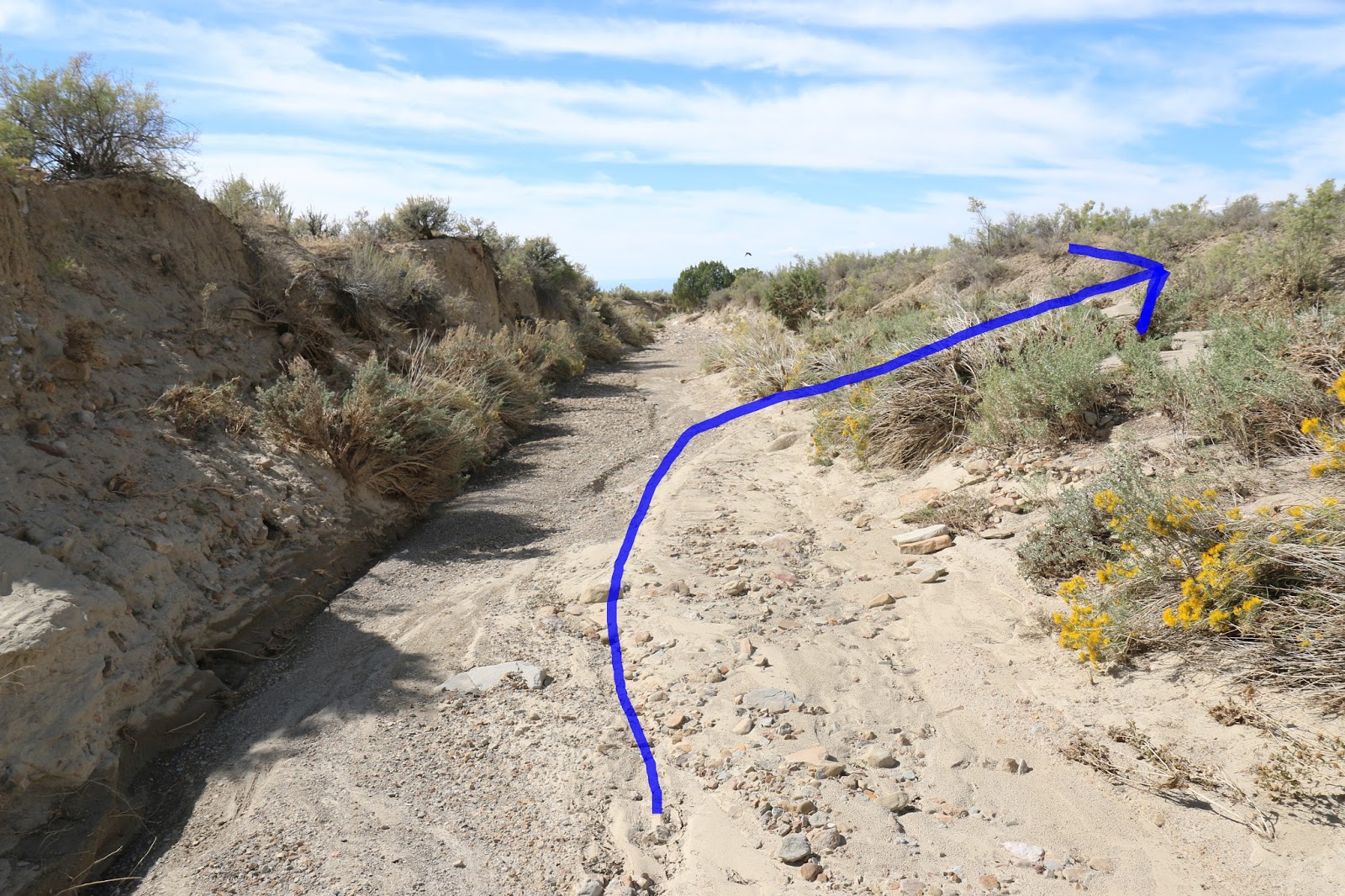 Edge Loop
