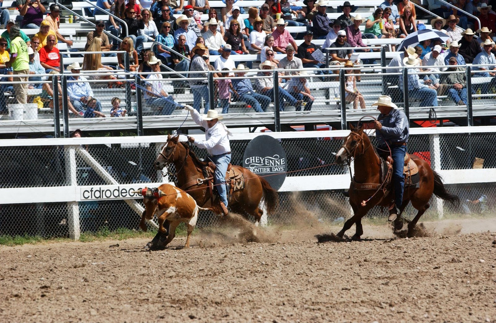 The Roping Blog: Jake Barnes & Walt Woodard, Cheyenne 2011
