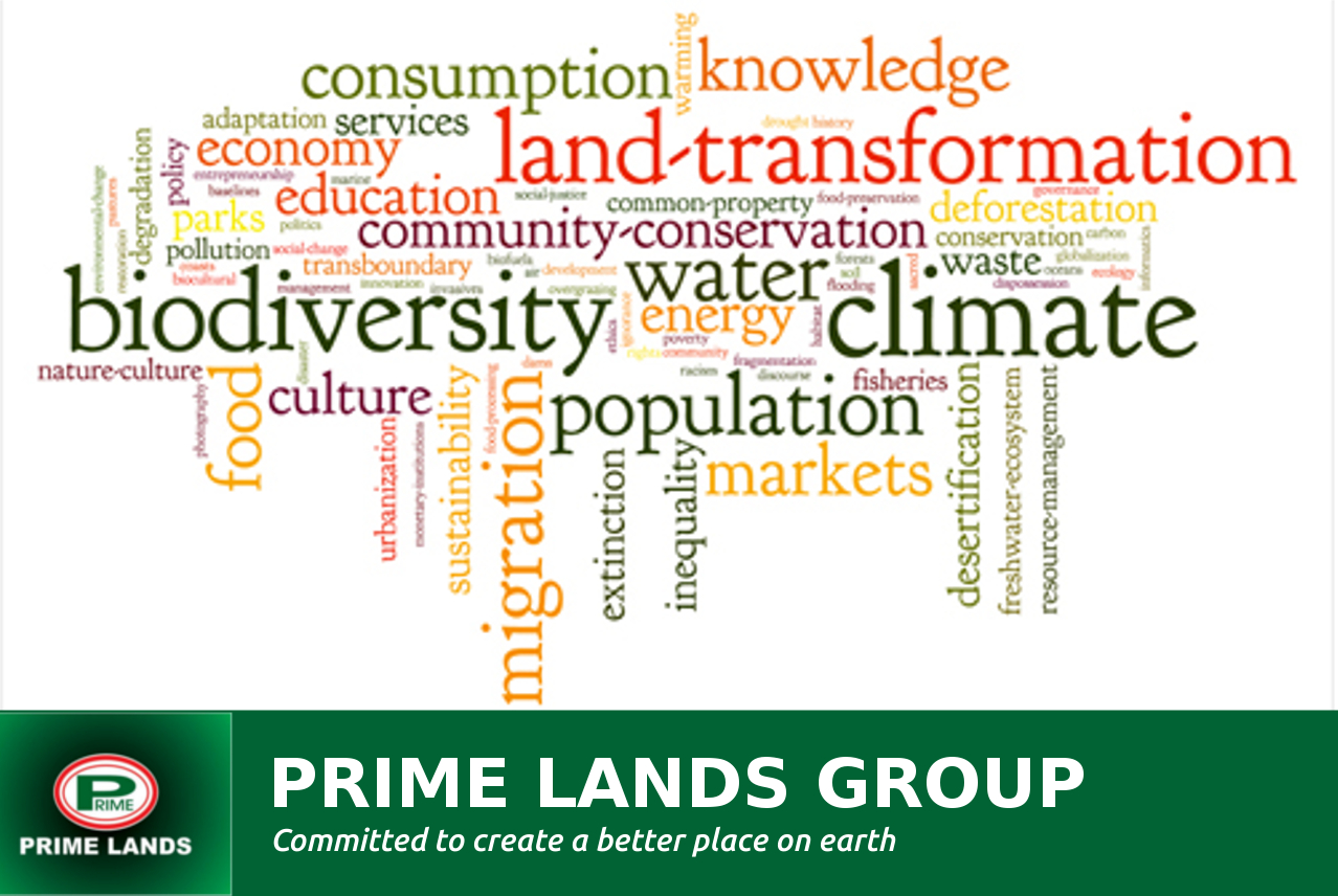 Prime Lands Group: February 2016