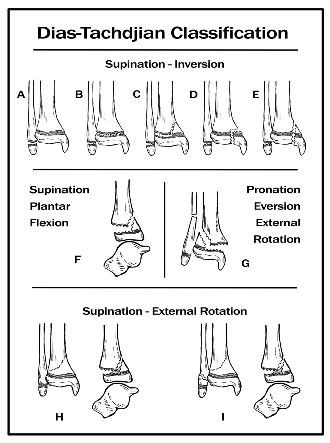 Tom Kbrink's Art and Holistic Living