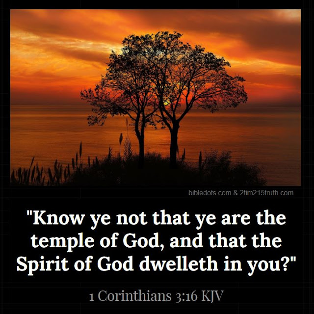 2 Timothy 2:15 Truth: Verse of the Day: 1 Corinthians 3:16 KJV