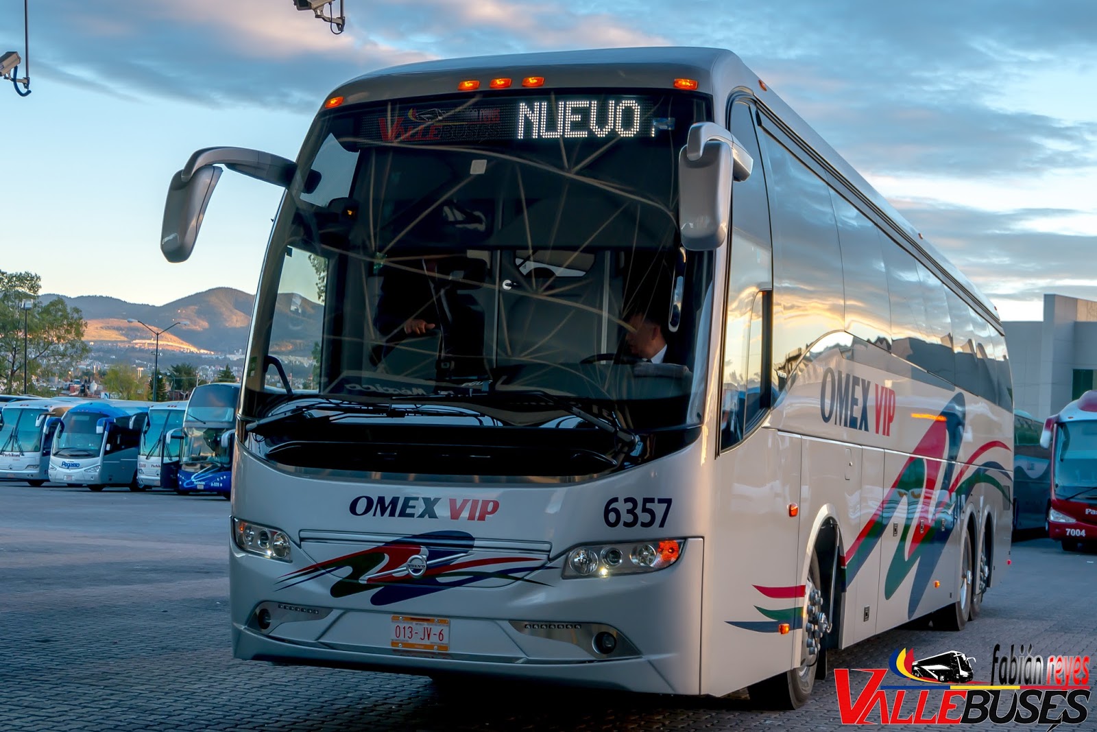 Vallebuses: 02590 - OMEX VIP