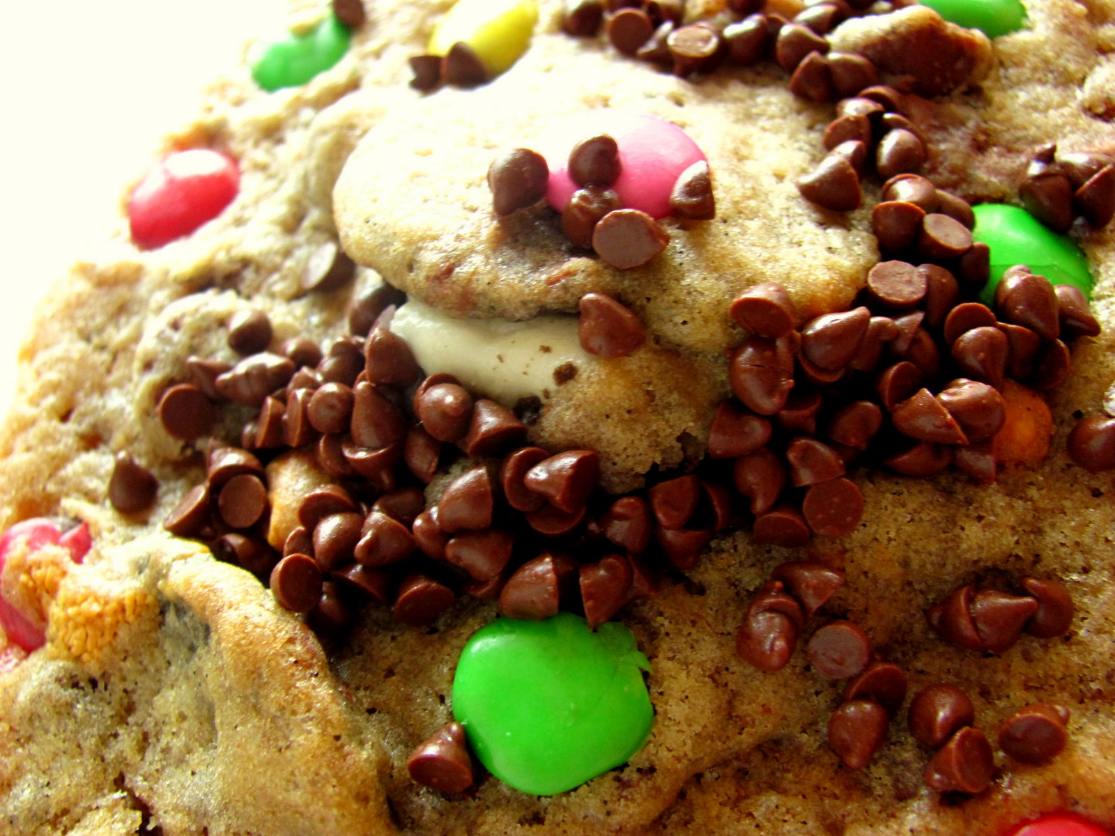 ♥Bright♥Morning♥Star♥: A CUTE COOKIE INSIDE A CUT'R COOKIE @ SECRET ...