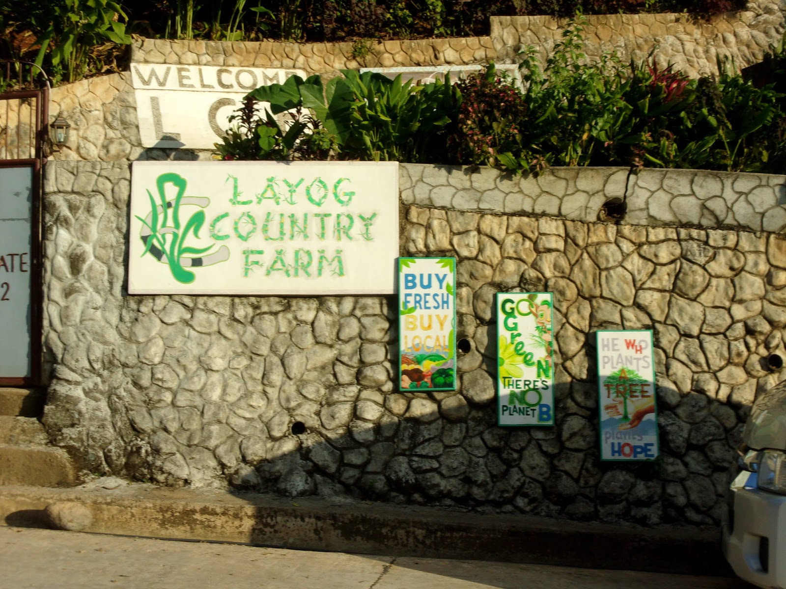 Permaculture Research PH: Layog Country Farm: Learning from the Wisdom ...