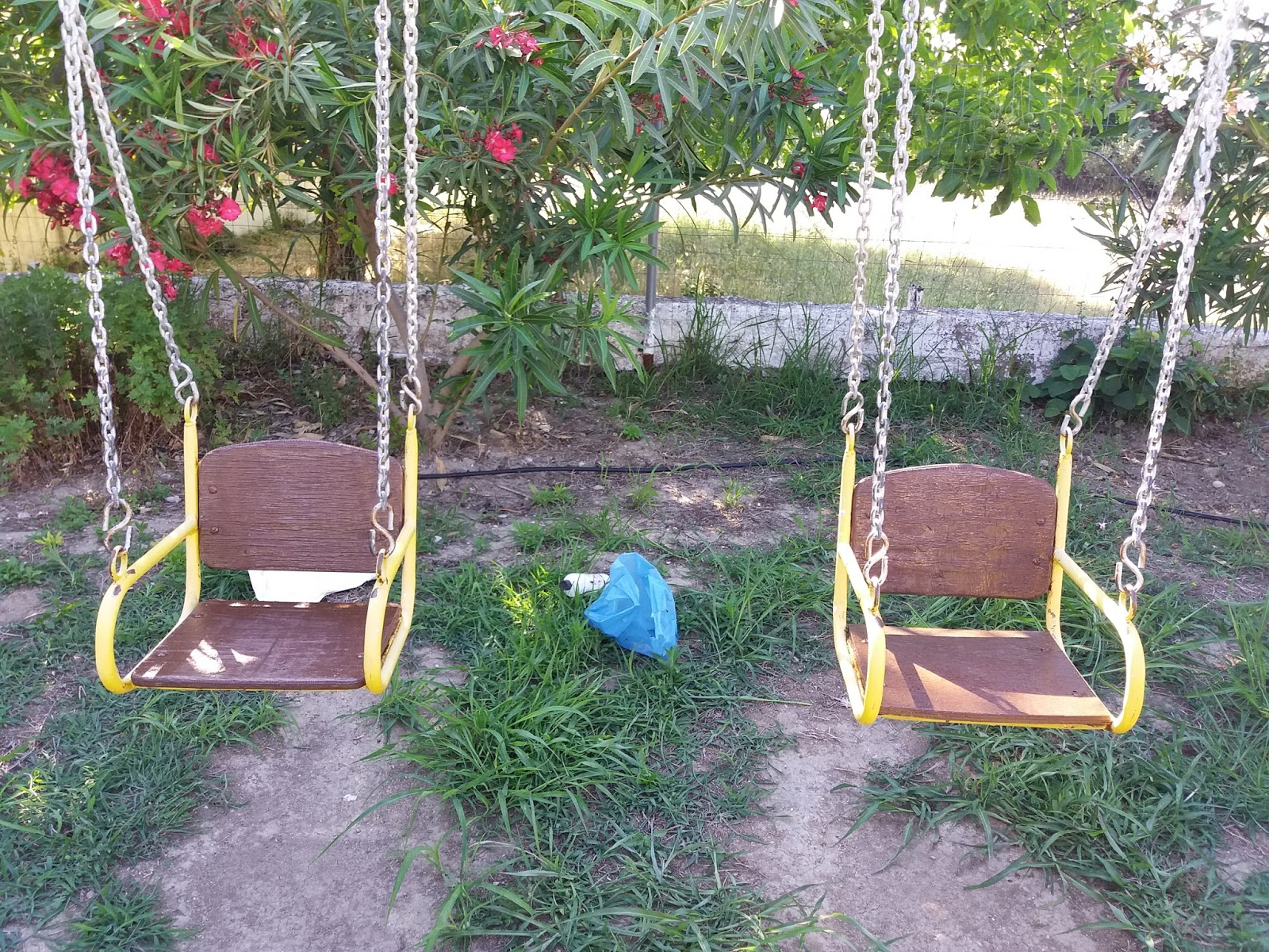 ΠΛΑΤΗ (ΚΑΝΑΛΟΥΠΟΥ): ΠΛΑΤΗ: ΕΘΕΛΟΝΤΙΣΜΟΣ ΚΑΝΑΛΟΥΠΟΥΣ. ΒΑΨΙΜΟ ΤΩΝ ...