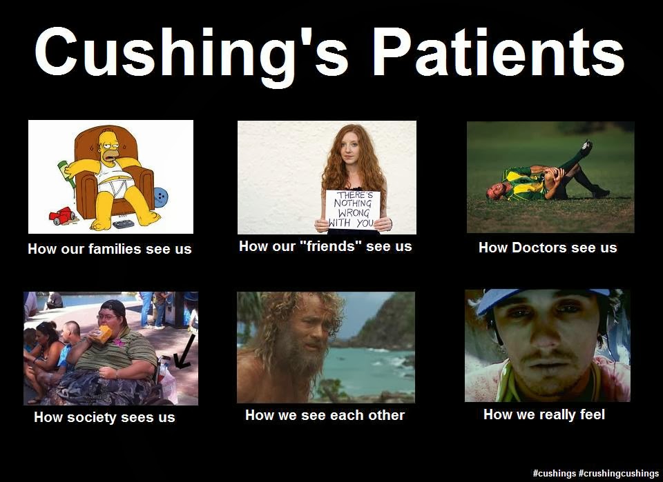 Five Hundred Pound Peep: Apply This to Endocrine Problems in General....