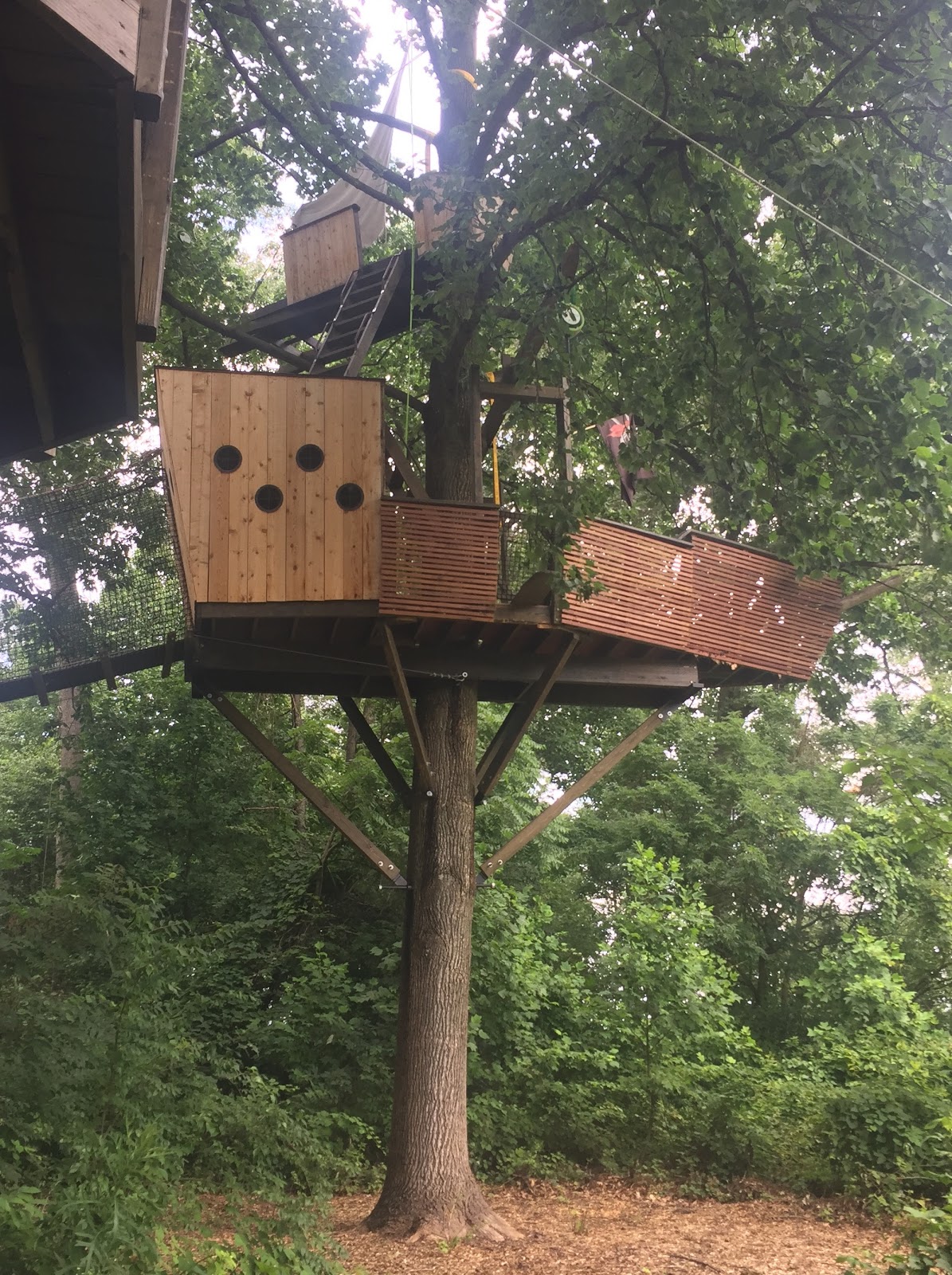 Treehouse World - Fun Things To Do With Kids in Chester County