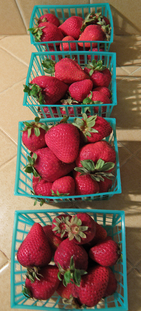 Seasonal Eating: 5 Tips on How to Store Strawberries