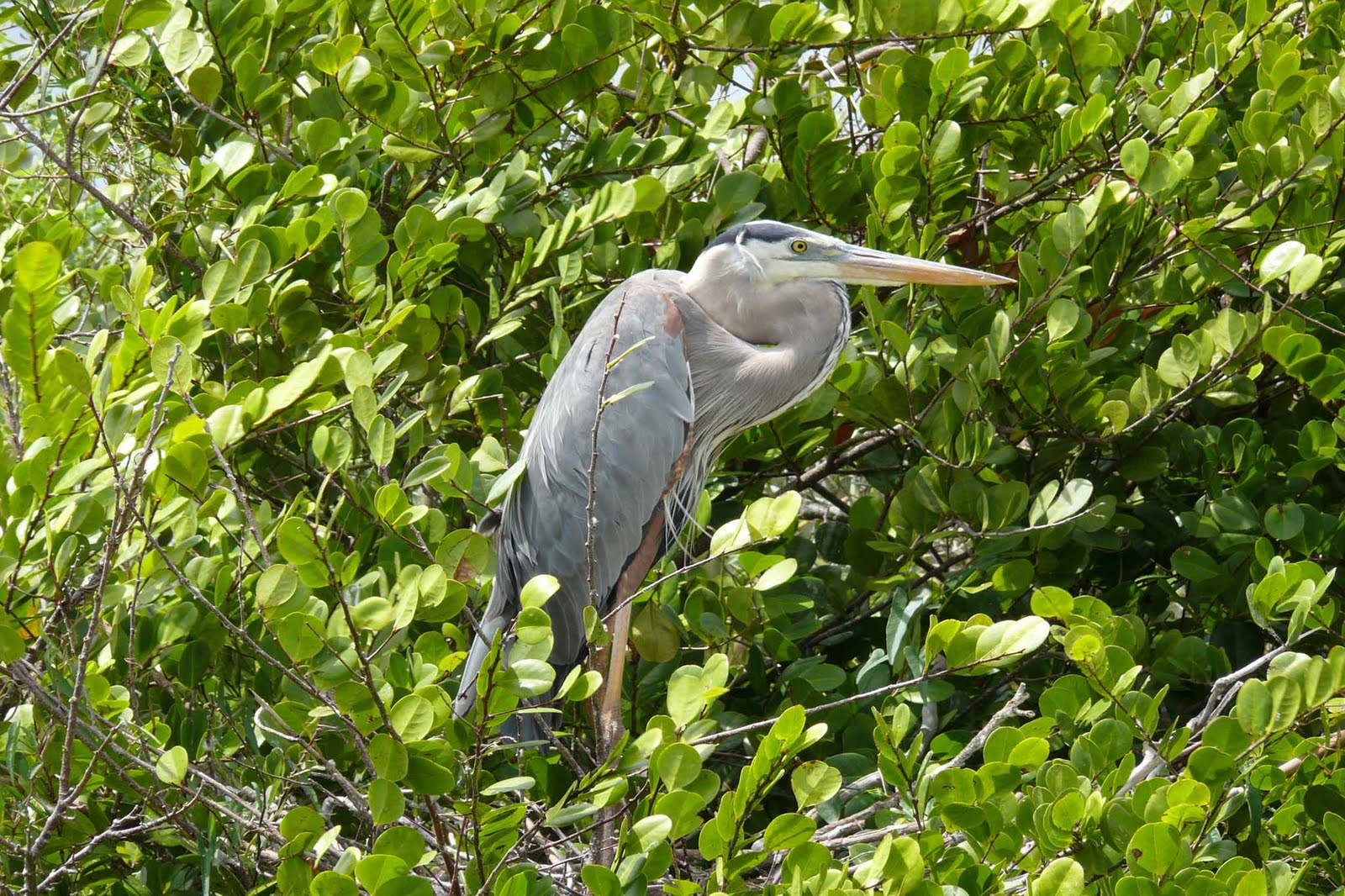Everglades National Park