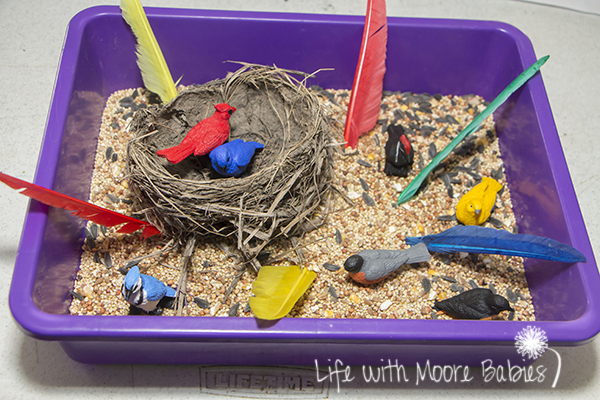 Songbird Sensory Bin for Your Little Birder - Life with Moore Babies