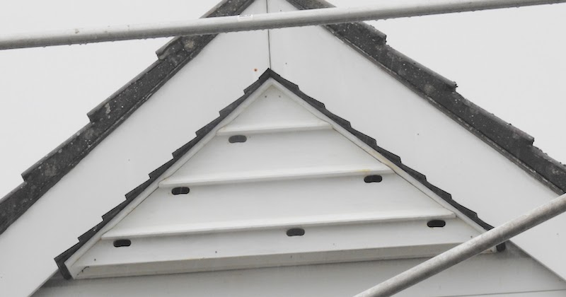 Action for Swifts: Two triangles on modern gables