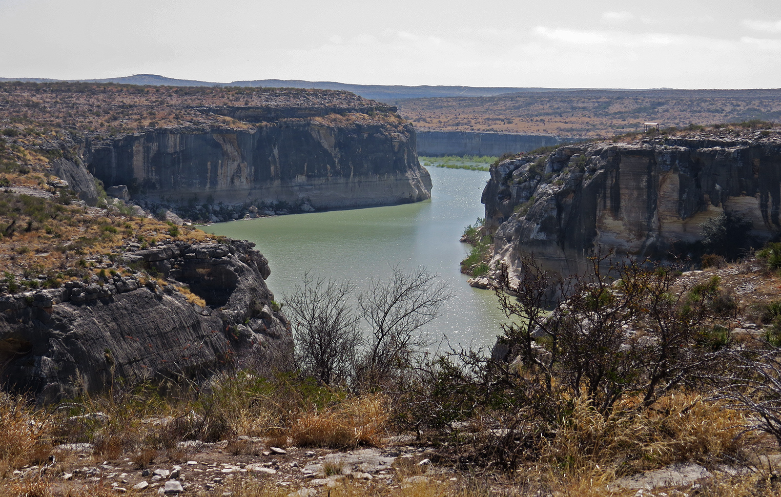 Edward Plumer: Birding at Seminole Canyon State Park
