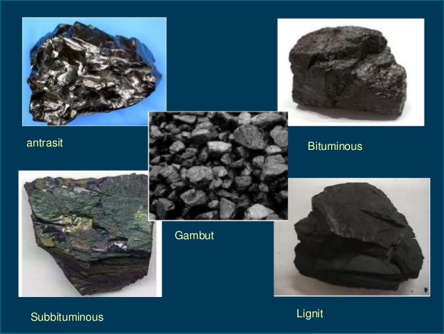PENJELASAN LENGKAP MENGENAI BATUBARA