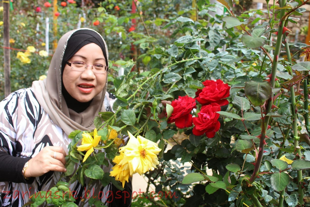 RODA BERPUSING MENCARI NIKMAT ALAM: CAMERON HIGHLANDS LAGI....jumpa ...