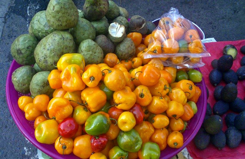 Jaime Ramos Méndez: Frutos del campo michoacano - Chirimoyas, "chiles ...