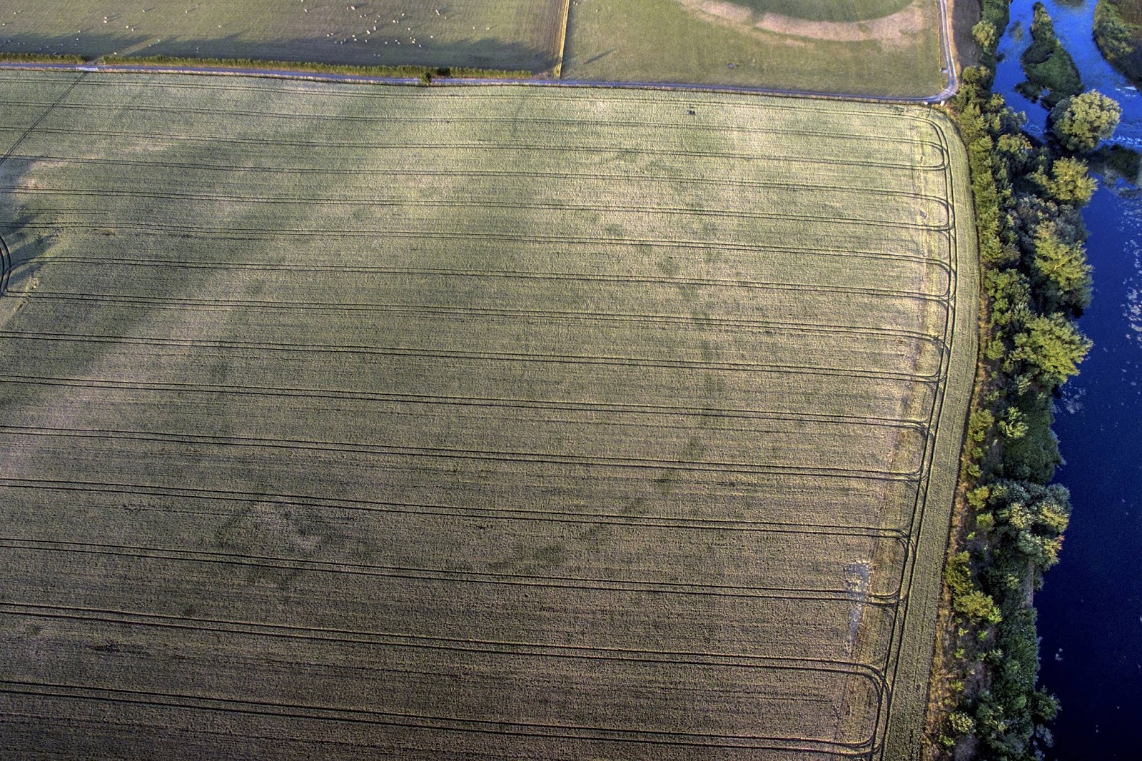 TYWKIWDBI ("Tai-Wiki-Widbee"): Cropmarks as guides to archaeology