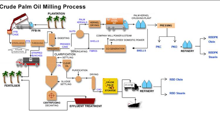 palm oil machine: palm oil fractionation, palm kernel oil fractionation,