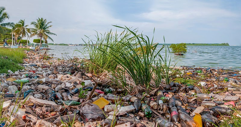 El medi ambient i la contaminació: Més tipus de contaminació
